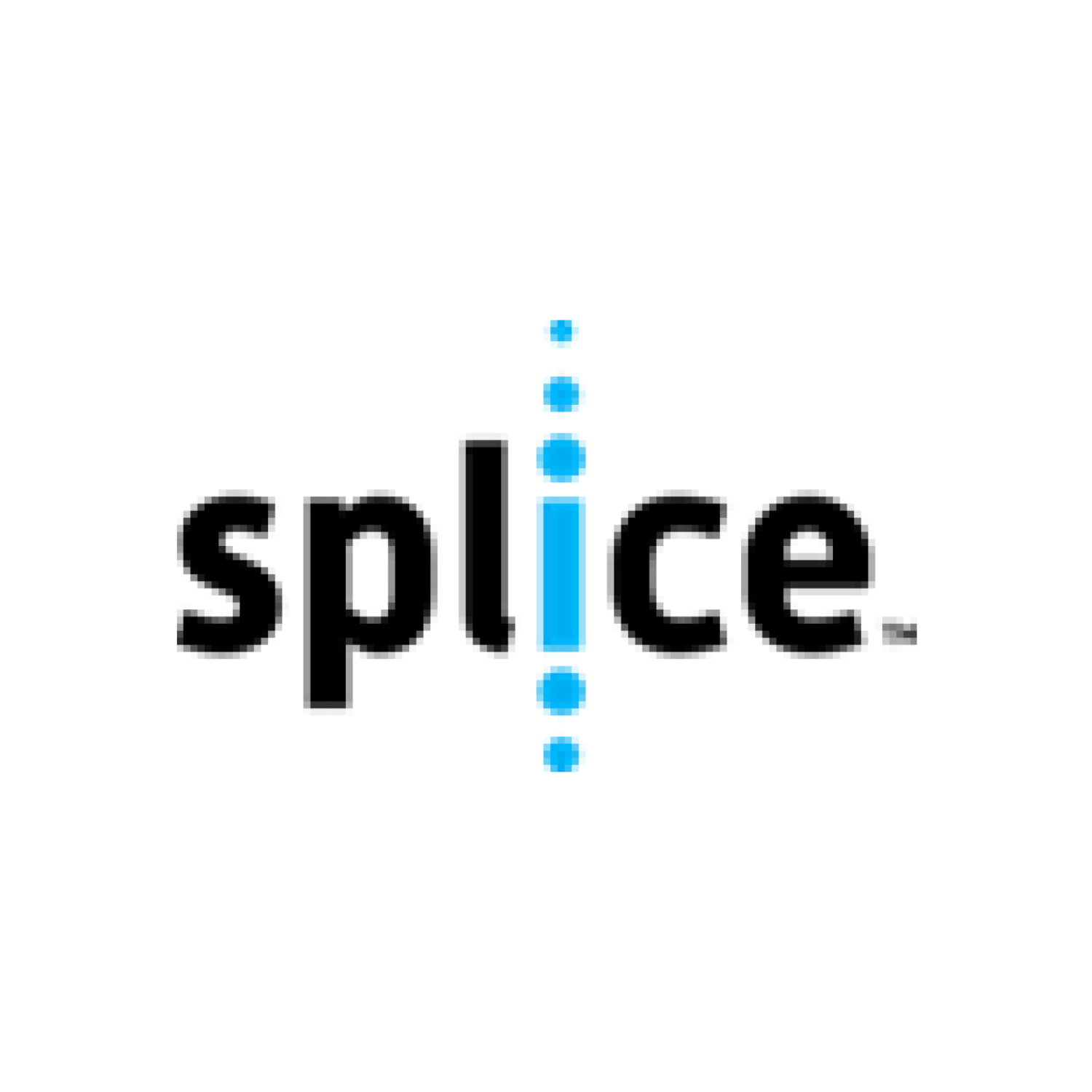 Splice | Global Service Providers | Brander Group